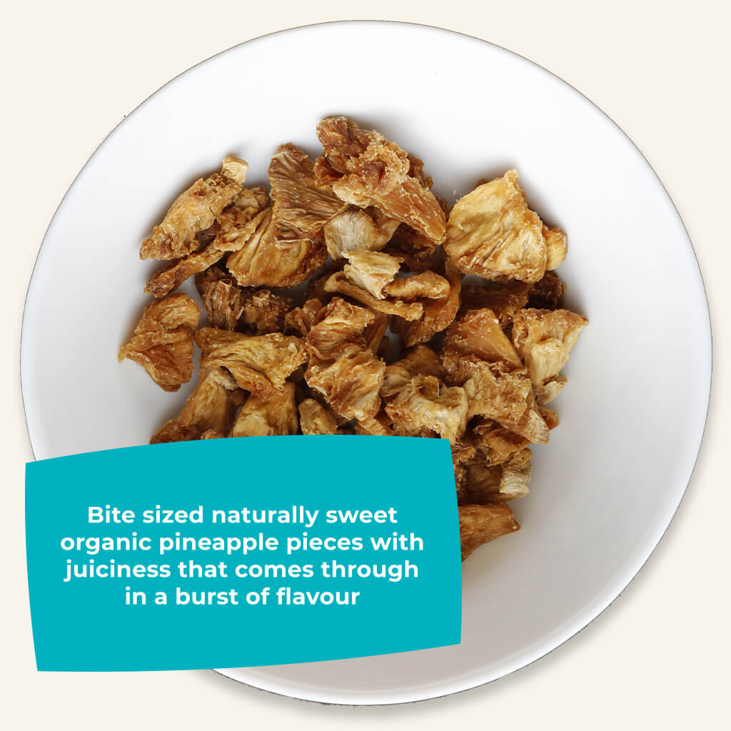 Organic Dried Pineapple Chunks | Quality Dried Fruit Snacks for Kids ...