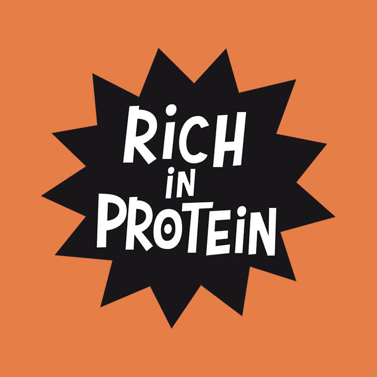 Roasted Fava Bean Pieces - Sea Salt | Healthy Snacks - WALLAROO